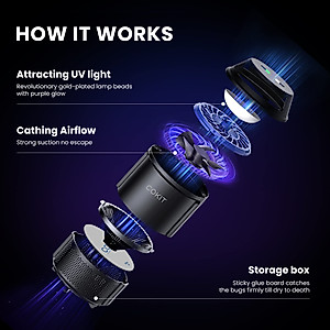 COKIT Indoor Insect Trap, 2 Mode Catching Insects with Suction, Bug Light and 6 Glue Board, Catcher & Killer for Mosquito, Gnat, Moth, Fruit Flies, Non-Zapper Traps for Home, Black-2