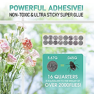 Cleanuper 60 Pcs Window Fly Traps for Indoor/Outdoor, Insect, Bugs, Fly & Fruit Fly Glue Sticky Adhesive Insect Killer - Easy to Use, Waterproof, Disposable, Non-Toxic, and Odorless, Economic Pack
