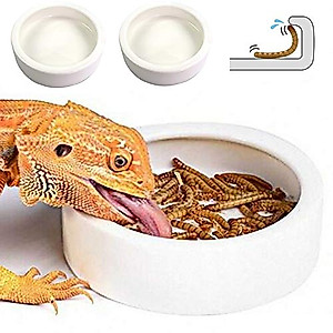 Reptile Food Dish Bowl, Worm Water Dish Small (2.75in) Lizard Gecko Ceramic Pet Bowls, Mealworms Bowls for Leopard Bearded Dragon Chameleon Hermit Crab Dubia Cricket Anti-Escape Mini Superworm Feeder
