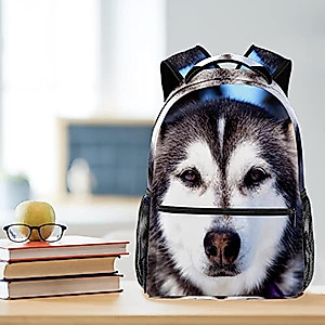 School Backpack Travel Backpack,Boy Girl Backpack,snow forest husky dogs,Outdoor Sports Rucksack Casual Daypack