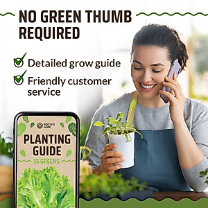 Rooted Acre 15 Lettuce & Green Seeds Pack | Non-GMO Heirloom Seeds | Garden Salad Greens Seeds | Hydroponic Vegetable Seeds for Planting Indoor | Romaine, Kale, Spinach, Arugula, & Butter Lettuce Seed