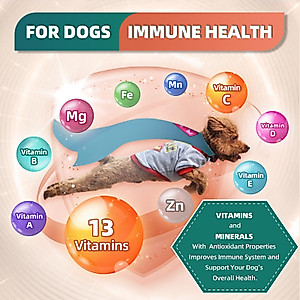 Dog Multivitamin with Glucosamine, Omega 3, Minerals, Probiotics and Enzymes, Dog Vitamins and Supplements for Joint, Skin & Coat Care, Digestive and Immune Health, Chicken Flavor - 120 Chews