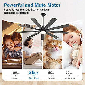 warmiplanet Ceiling Fan with Lights Remote Control, 62-Inch, Silent DC Motor, 6 Speed, Dimmable LED Light, Black(9-Blades)
