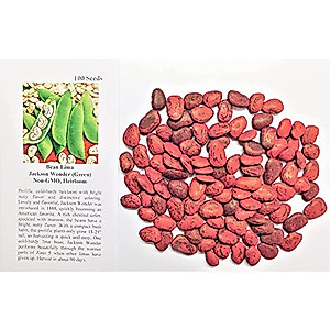 David's Garden Seeds Bean Lima Bush Jackson Wonder FBA-00051 (Green) 100 Non-GMO, Heirloom Seeds