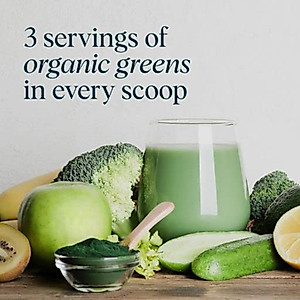 Ora Organic Greens Powder - Vegan, Gluten-Free, Organic Super Greens Drink for Energy and Detox | Antioxidants & Adaptogenic Herbs | 20+ Superfood Greens Blend - Citrus Flavor, 30 Servings