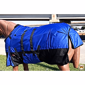 Royal Blue 72 in HILASON 600D Winter Waterproof Poly Horse Blanket Belly Wrap | Horse Blanket | Horse Turnout Blanket | Horse Blankets for Winter | Waterproof Turnout Blankets for Horses | Blankets