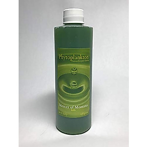 Live Marine Phytoplankton - 8oz Bottle