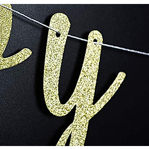 Firefairy Happy 100 Days Gold Glitter Banner Bunting-Baby Shower Party Decorations