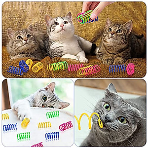 300 Pcs Cat Spring Toy, Cat Spiral Toys Interactive for Indoor Colorful Cats Plastic Springs Coil for Kitten Hunting, Swatting, Biting
