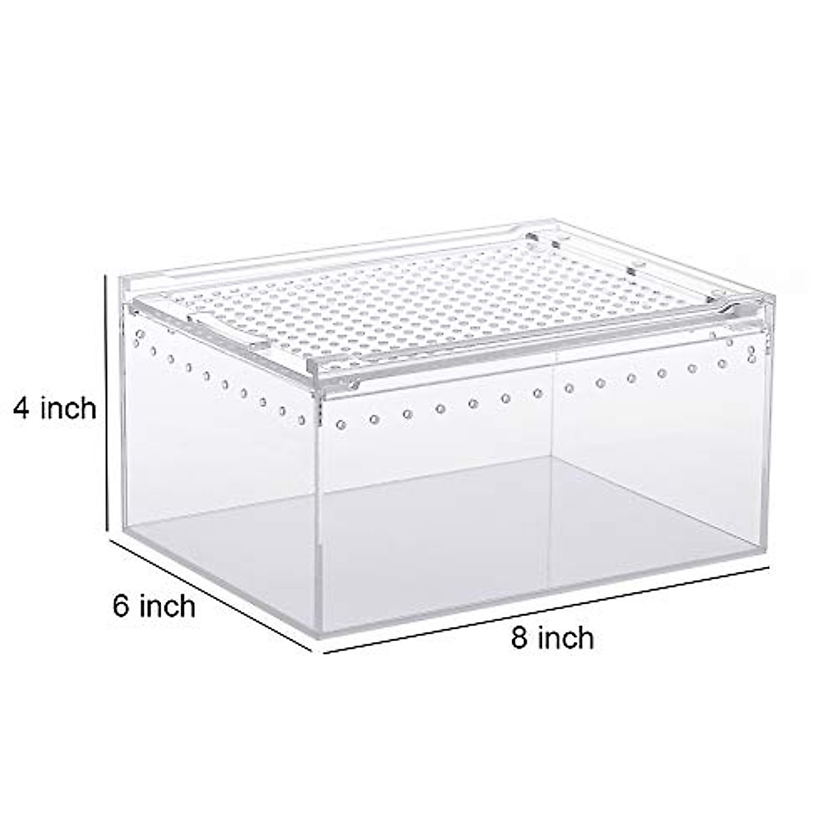 NANEEZOO Magnetic Acrylic Reptile Case - 8"x6"x4" Flat Long Enclosure Transparent Reptile Breeding Box Terrarium Cage - for Tarantula Scorpion Sling Isopods Invertebrates & Insect Mantis