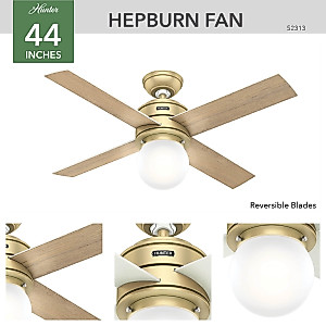 Hunter Fan Company 52313 Hunter Hepburn Indoor Ceiling Fan with LED Light and Wall Control, 44, Modern Brass Finish