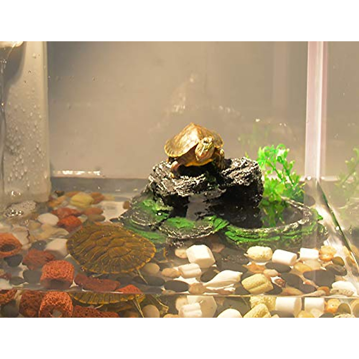 PINVNBY Turtles Dock for Aquarium Reptile Basking Platform for Turtles, Frogs, Newts (1 Pack)