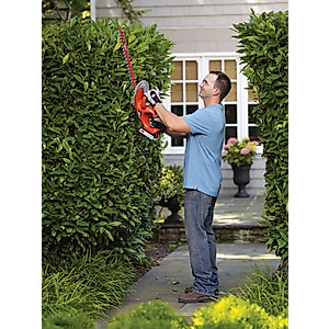 Black & Decker LHT120 22-Inch 20-Volt Lithium-Ion Cordless HedgeHog Hedge Trimmer