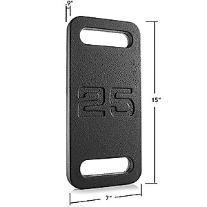 Philosophy Gym Cast Iron Ruck Weight - 25 LB Weighted Ruck Plate with Handle