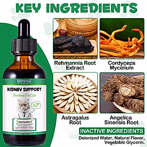 ALIVO Liver Support for Cats, Liver and Kidney Support for Cats with Natural Herbal Extract Helps Balance Cats Liver & Kidneys Health, Natural Pet Herbal Supplement for Cats - 60 ml