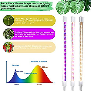 Grow Light for Indoor Plants, SUWITU 6000k Full Spectrum Plant Light, Clip-on Led Grow Lights, Plant Grow Light for Succulents Small Plants, Auto On/Off Timing, 1 Head 3 Lighting Modes & 10 Dimming