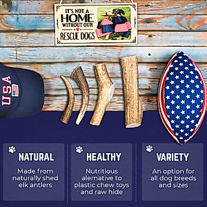 Devil Dog Pet Co. Elk Antlers for Dogs, 1 Pack, Extra Large 7”+, Grade A Long Lasting Dog Bones for Aggressive Chewers, Premium USA Naturally Shed Antler Dog Chew – Healthy, No Odor, Dog Antler Chews
