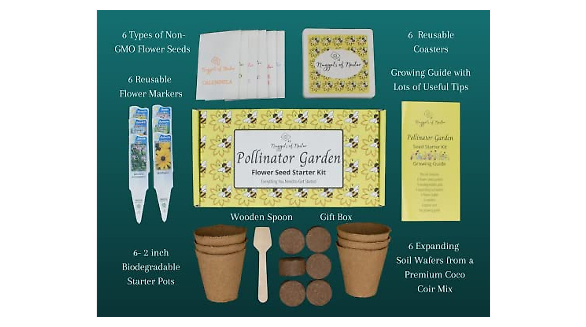 Grow Wildflowers with Nuggets of Nectar Pollinator Seed Kit | Attract Bees