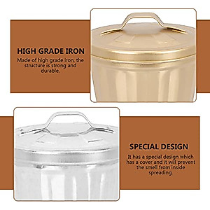 TOPBATHY 2 Pcs Mini Trash Can Metal Garbage Can with Lid Pencil Cup Holder Desktop Wastebasket Galvanized Garbage Holder Flower Buckets for Home Kitchen Office Decor