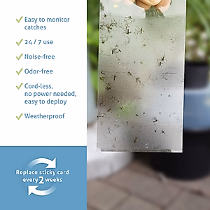 BIOGENTS BG-GAT Yard Protection (Pack of 2) • Non-Electrical Outdoor Mosquito Trap for Egg Laying Asian Tiger and Dengue Mosquitoes • for a pest-Free Patio