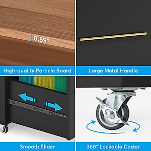 Tribesigns 2 Drawer File Cabinet Rolling Filing Cabinets for Home Office Black lateral File Cabinet Wood File Cabinet for Letter Size, Printer Stand with Rolling Wheel and Open Storage Shelves