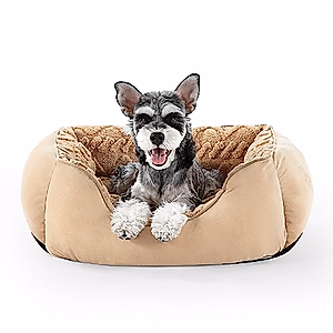 JOEJOY Small Dog Bed for Medium Small Dogs, Rectangle Washable Dog Sofa Bed, Soft Breathable Puppy Bed, Durable Pet Cuddler Bed with Anti-Slip Bottom, 20"x19"x6", Beige