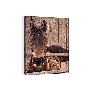 Farmhouse Rustic Wall Art for Bedroom Home Bathroom Decor for the Home Country Horse Pictures Artwork for Walls Kitchen Wall Decor Modern Prints Wood Grain Canvas Framed Animal Wall Art Size 12x16