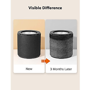 Air Purifier Replacement Filter, 3-in-1 True HEPA Filter, Removes up to 99.95% of Pet Hair, Pollen, Pet Dander, Mold Spores, Odor, Smoke, and Dust, Compatible with Air Purifier AP008