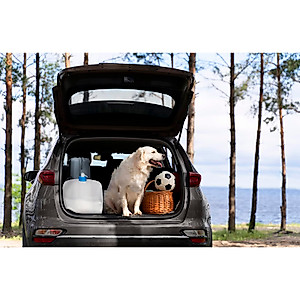 ITRAZ Collapsible Water Containers, 10×5.3 Gallon No BPA Camping Water Storage Carrier Jug with Spigot, for Hiking Backpack Outdoors and Emergency, Foldable Portable Survival Kits for Hurricanes