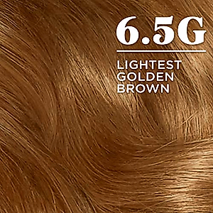 Clairol Nice'n Easy Permanent Hair Color, 6.5 Lightest Golden Brown, 1 Count