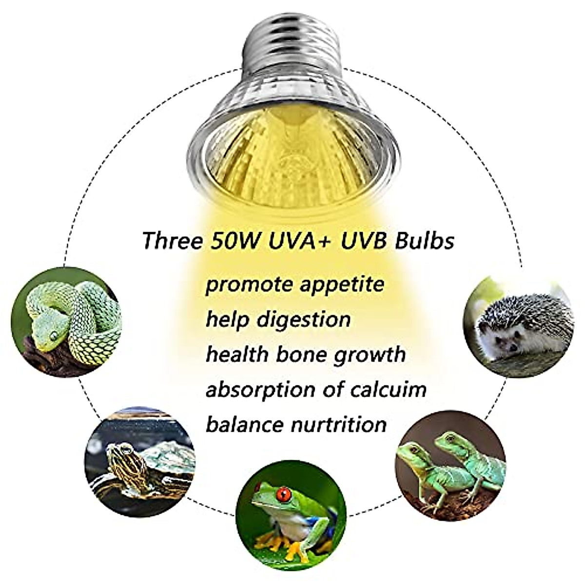 Fansisco Reptile Heat Lamp Turtle Lights with Clip, 3 UVA UVB Bulbs (50W) Aquarium Basking Lamp Adjustable Holder, Pet Heating Light Lamp for Reptile Snake Turtle Lizard