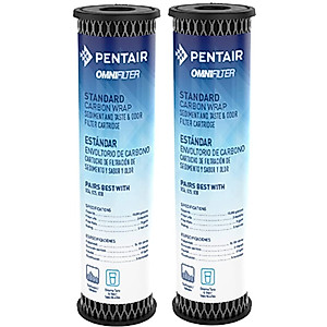 Pentair OMNIFilter TO1 Carbon Water Filter (10") and OMNIFilter OK25-S6-05 O-ring (6 count)