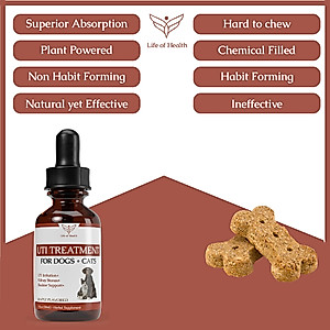 Cat & Dog Urinary Tract Infection Treatment - Helps with Bladder, Kidney, Incontinence, & More - Cat UTI - Dog UTI Treatment - Feline UTI Treatment - Cat UTI Remedy - Dog UTI - 1 fl oz