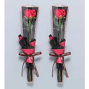 100 Pcs Clear Gold Edge Rose Packaging Bag Single Rose Packaging Bag, Waterproof Floral Wrapping Paper (black)