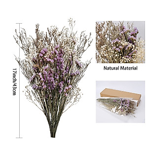 GTIDEA Natrual Dried Flowers Bouquet Dried Babys Breath Flowers with Lavender Dried Floral Arrangements for Farmhouse Wedding Home Table Office Garden Decor (17 Inch)