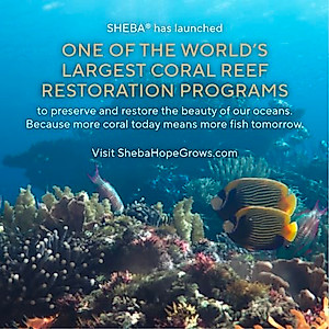 SHEBA Perfect Portions Cuts in Gravy Wet Cat Food Trays (24 Count, 48 Servings), Gourmet Salmon & Sustainable Tuna Entrée, Easy Peel Twin-Pack Trays