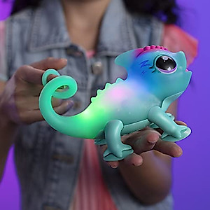 Little Live Pets - Sunny The Bright Light Chameleon Interactive Color Change Light Up Toy, 30+ Sounds & Emotions, So Many Moods, Repeats Back, Beat Detection (Batteries Included, for Kids Ages 5+)