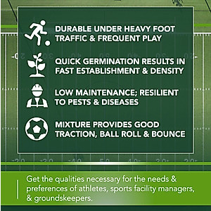 Athletic Field Grass Seed Lawn Seed (50 lb)