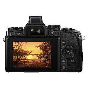 Olympus OM-D E-M1 Mirrorless Micro Four Thirds Digital Camera with ED 12-50mm f3.5-6.3 EZ Lens Kit - International Version (No Warranty)