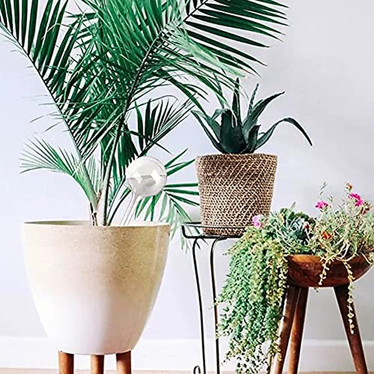 Gddochn 10 Pcs Plastic Clear Self-Watering Bulbs,Garden Plant Watering Globes,Plastic Automatic Devices Watering Globe for Indoor Outdoor Plants,Flowers