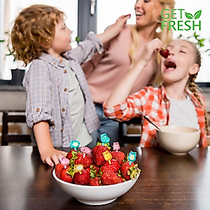 GET FRESH Animal Food Picks for Kids – 18-pcs Cat Food Picks for Toddlers Lunch Decoration – Cute Cat Bento Toothpicks for Children – Reusable Kids Foods Picks Toothpicks Set for Bento Deco