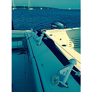 DLFender Rod Holder Version, White (Pack of 1)