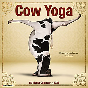 Willow Creek Press Cow Yoga Monthly 2024 Wall Calendar (12" x 12")