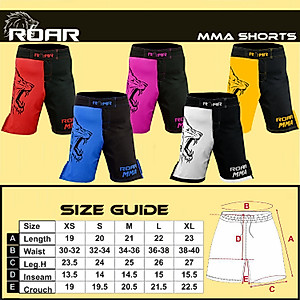 Roar No Gi Wear MMA Rash Guards & MMA Shorts Set BJJ Grappling Jitsu Training (Warrior, Small)