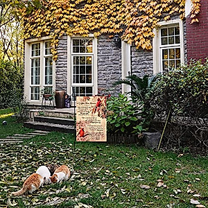 Snycler Cardinalis Garden Flag, A Letter from Heaven, Northern Cardinal Daily Life in Memory Commemorate Yard Flag 12 x 18 Inch Vertical Double Sided Outdoor Decoration