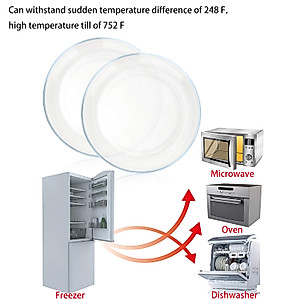 FOYO Oven Basics Glass Plate Set, 10 inch Round Tempered Glass Pie Dish, Set of 2