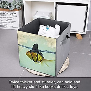 Perfect Disguise Foldable Storage Bins Printd Fabric Cube Baskets Boxes with Handles for Clothes Toys, 11x11x11