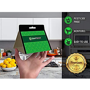 MaxGuard Pantry Moth Traps (24 Pack) with Extra Strength Pheromones | Non-Toxic Sticky Glue Trap for Food and Cupboard Moths in Your Kitchen | Trap and Kill Seed Grain Flour Meal Moths Pests |