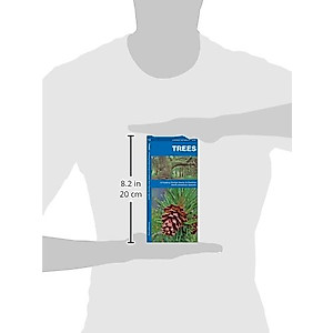 Trees: A Folding Pocket Guide to Familiar North American Plants (Wildlife and Nature Identification)