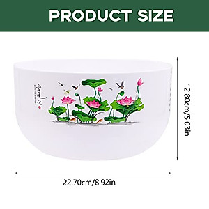 DOITOOL Small Terracotta Pots Succulent Planter Pots Bonsai Pots Shallow Round Flower Pot Hydroponic Vase Succulent Planter Bowl for Indoor Cactus Plants Plastic Plant Pots